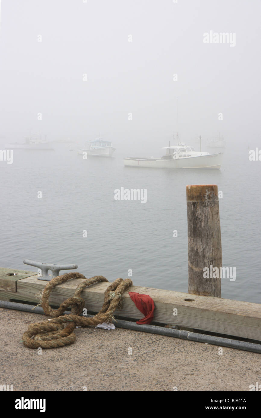 Bar harbour mount desert fish hi-res stock photography and images - Alamy