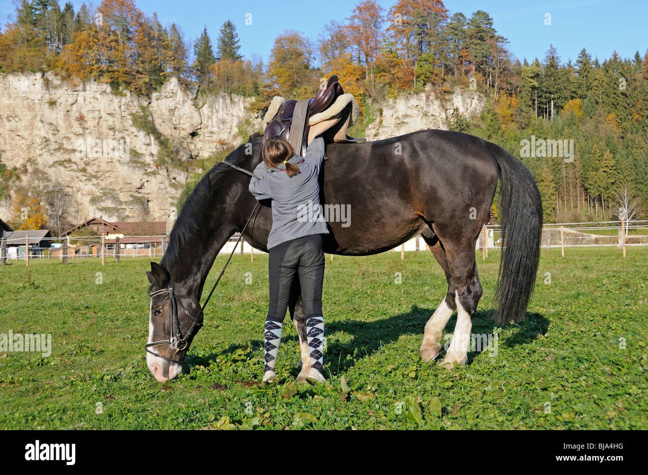 English saddle hi-res stock photography and images - Alamy