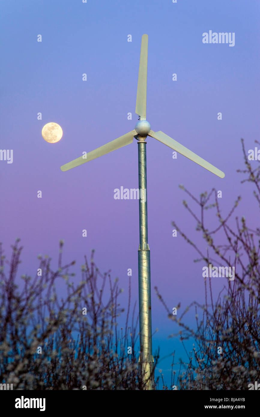 Windmill at dusk with the full moon rising behind it Stock Photo - Alamy