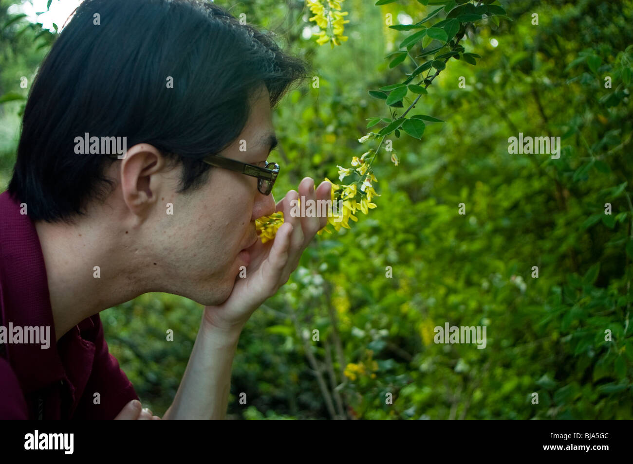 Paris, France, Public Parks, Young Man Smelling Flowers in Garden Stock ...