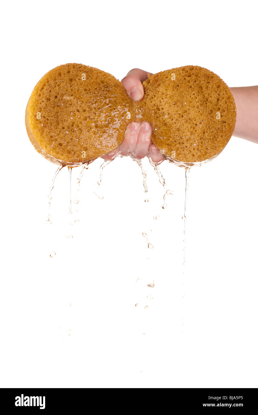Wet sponge hi-res stock photography and images - Alamy