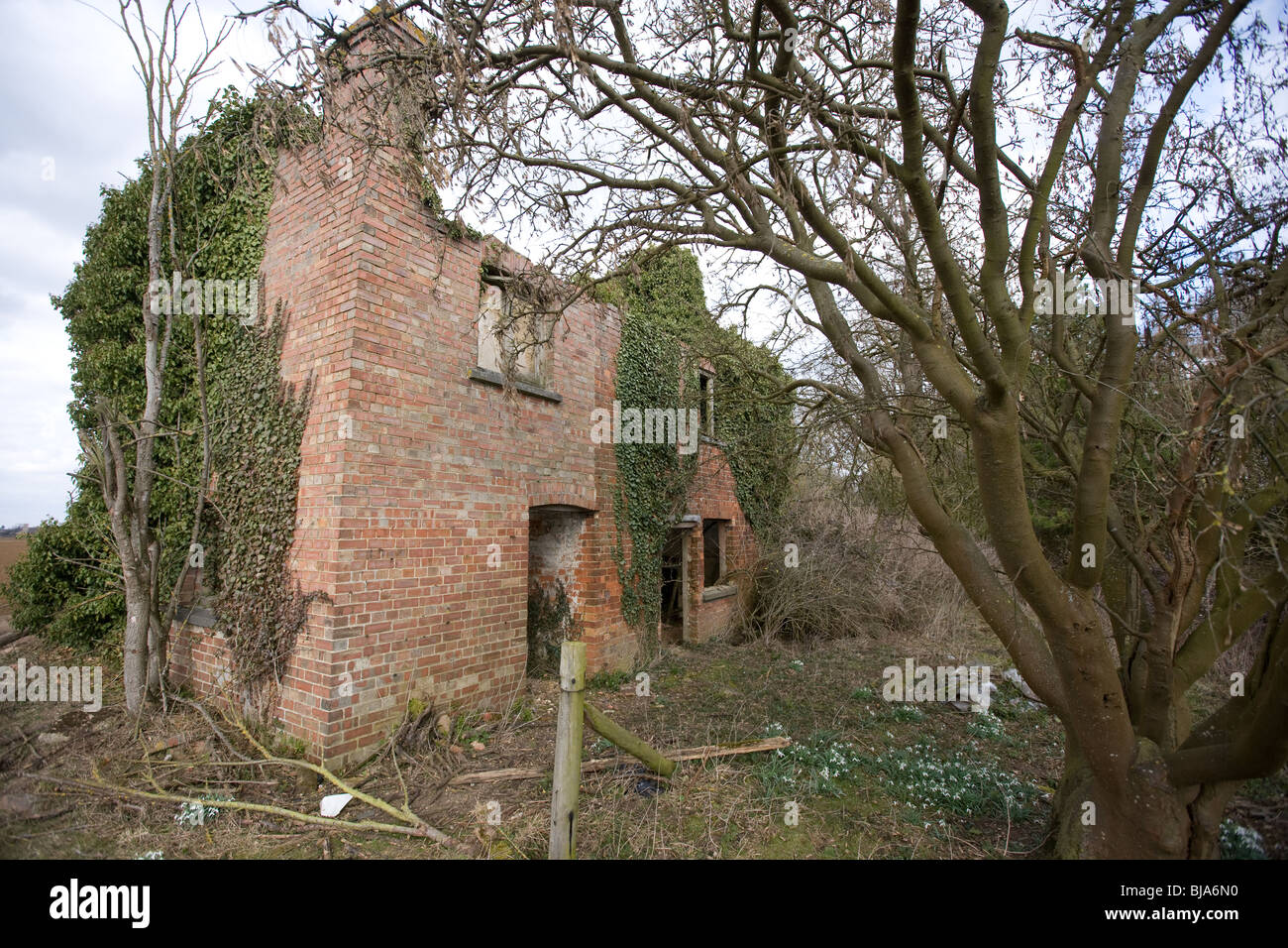 Abandoned derelict farm hi-res stock photography and images - Alamy