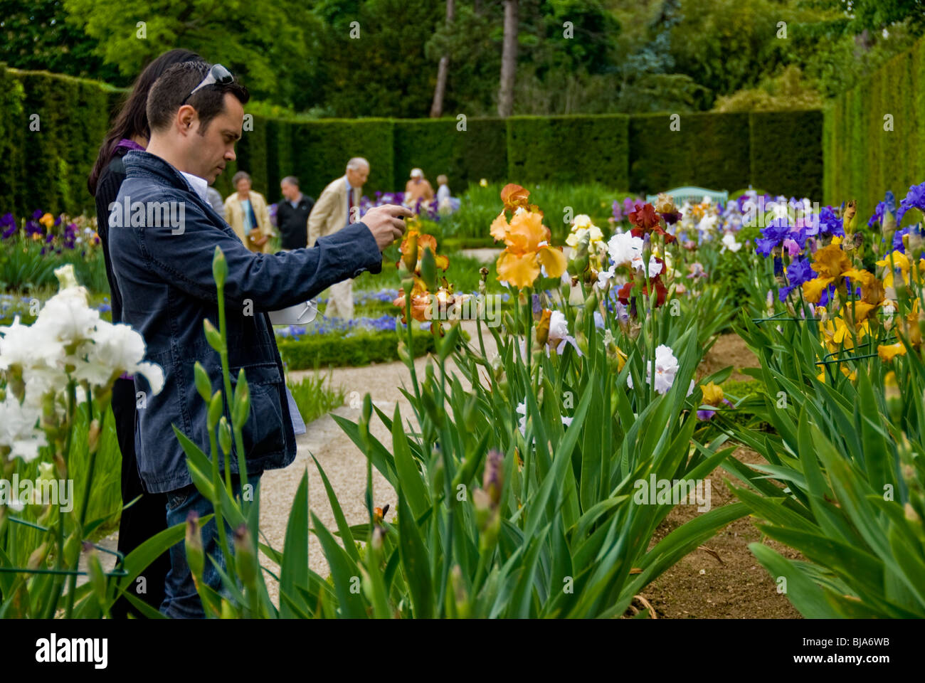 Paris, France, Public Parks, Groups People Profile Man Taking Photos ...