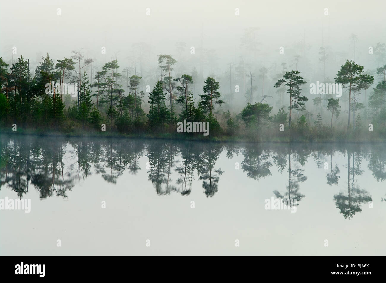 Rising water table hi-res stock photography and images - Alamy