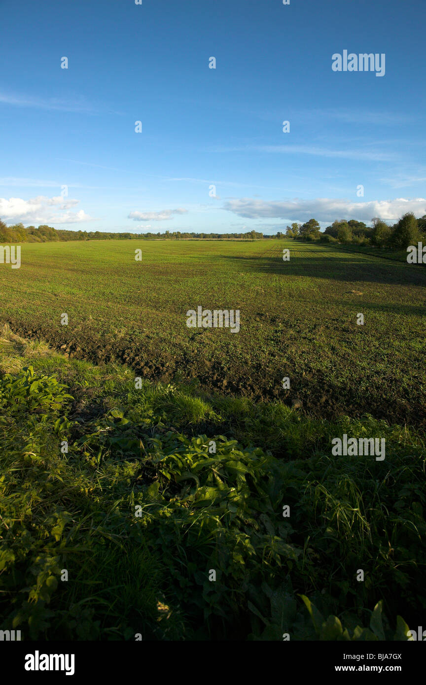 farm land in Yorkshire Stock Photo - Alamy