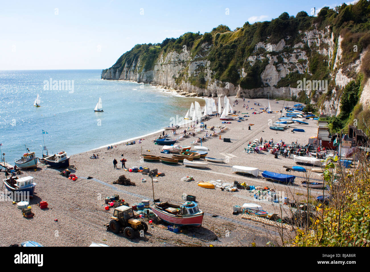 Beer beach devon hi-res stock photography and images - Alamy