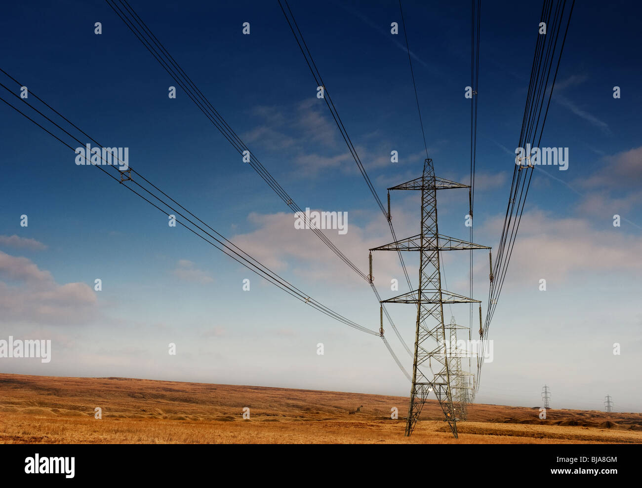 Wire structure hi-res stock photography and images - Alamy