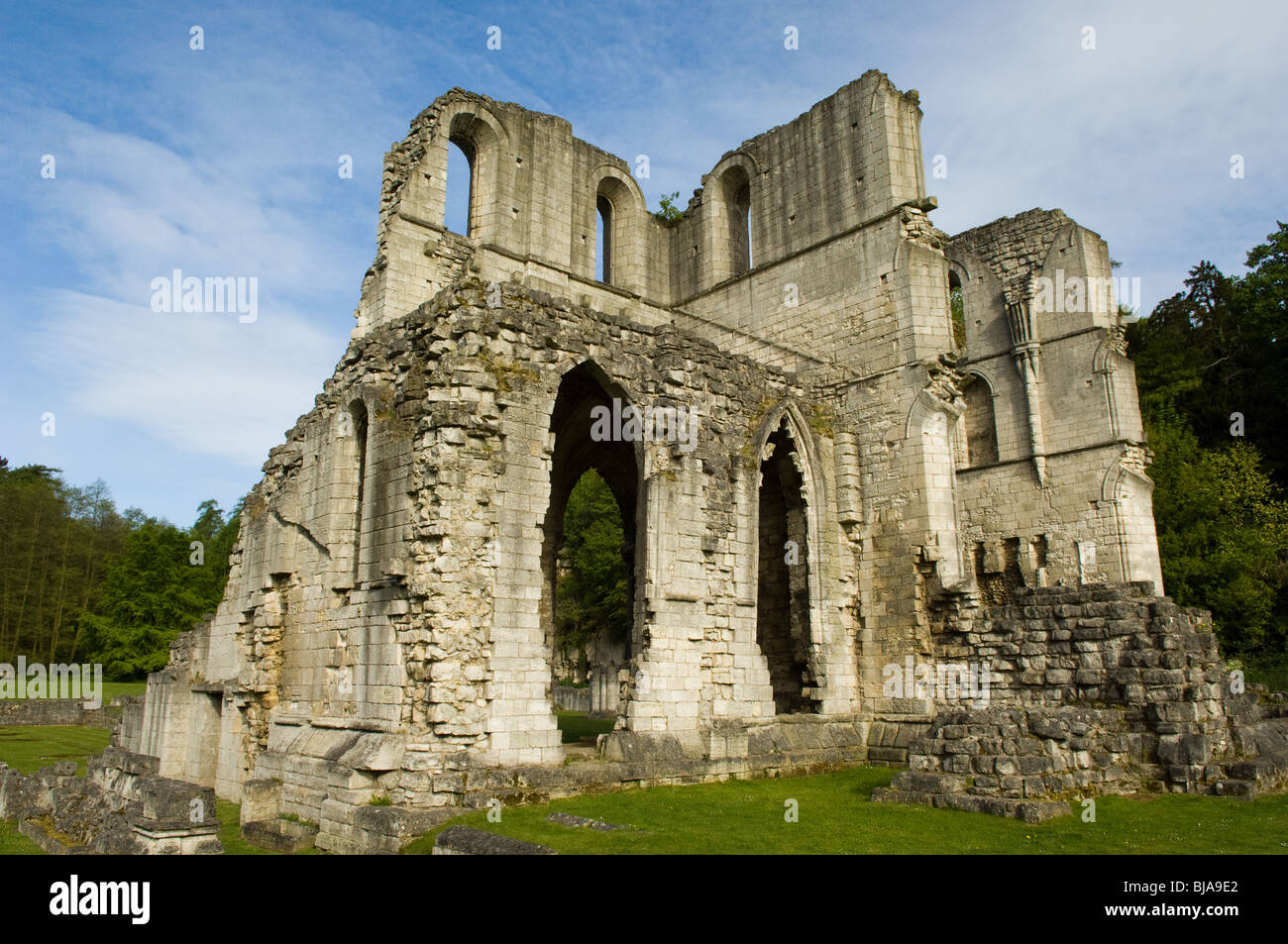 Roche Abbey, Maltby Beck, Rotherham, South Yorkshire, UK Stock Photo ...