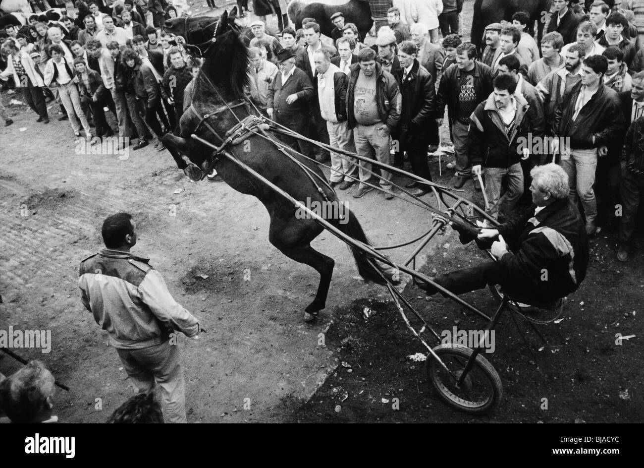 Ballinasloe horse fair hi-res stock photography and images - Alamy