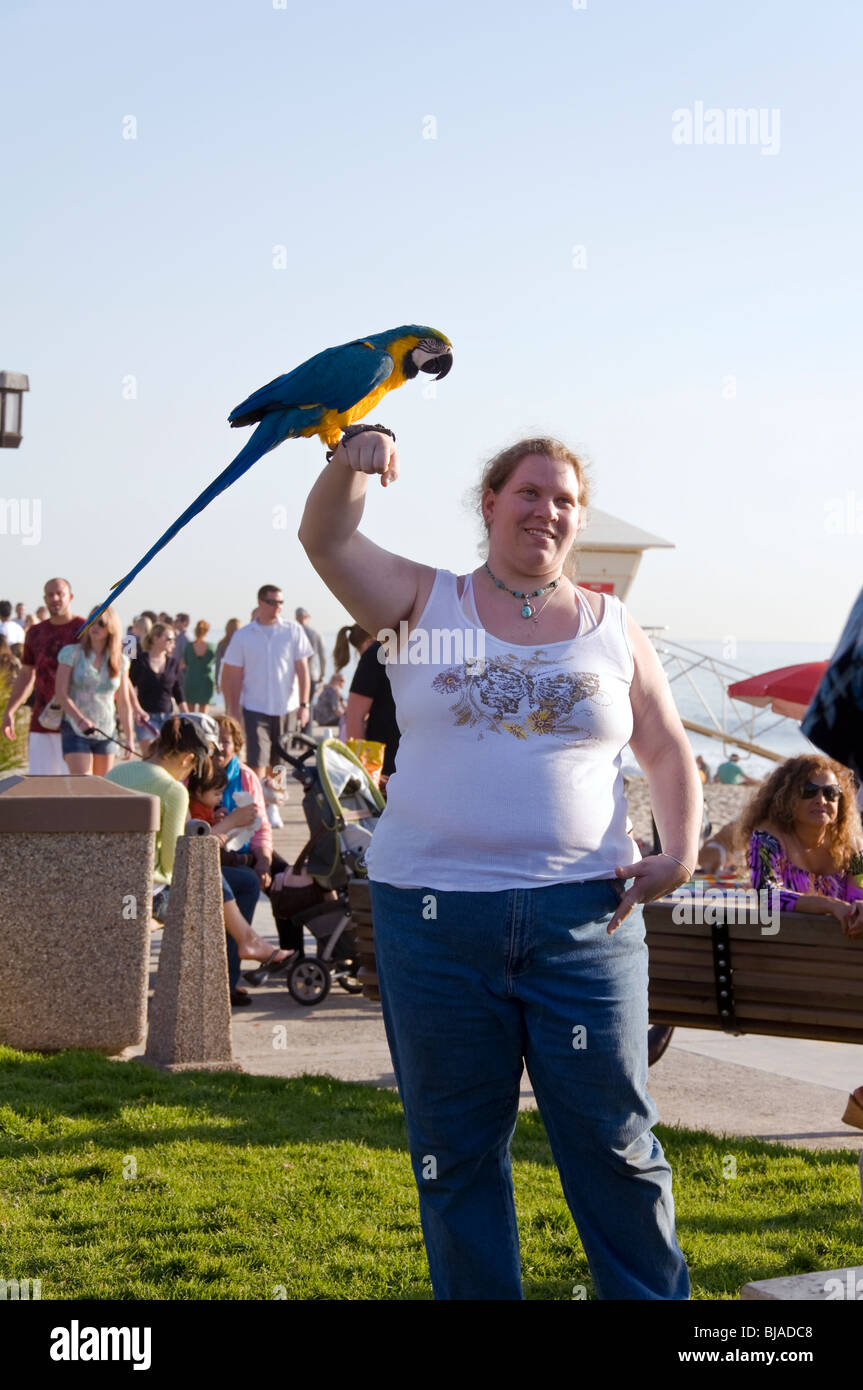 Obese woman with parrot Stock Photo - Alamy