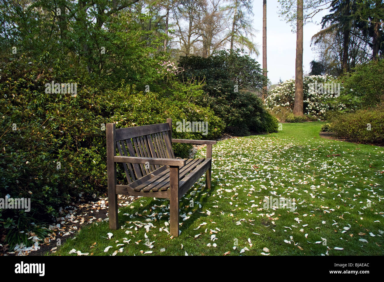 A single park bench set in a formal garden Stock Photo - Alamy