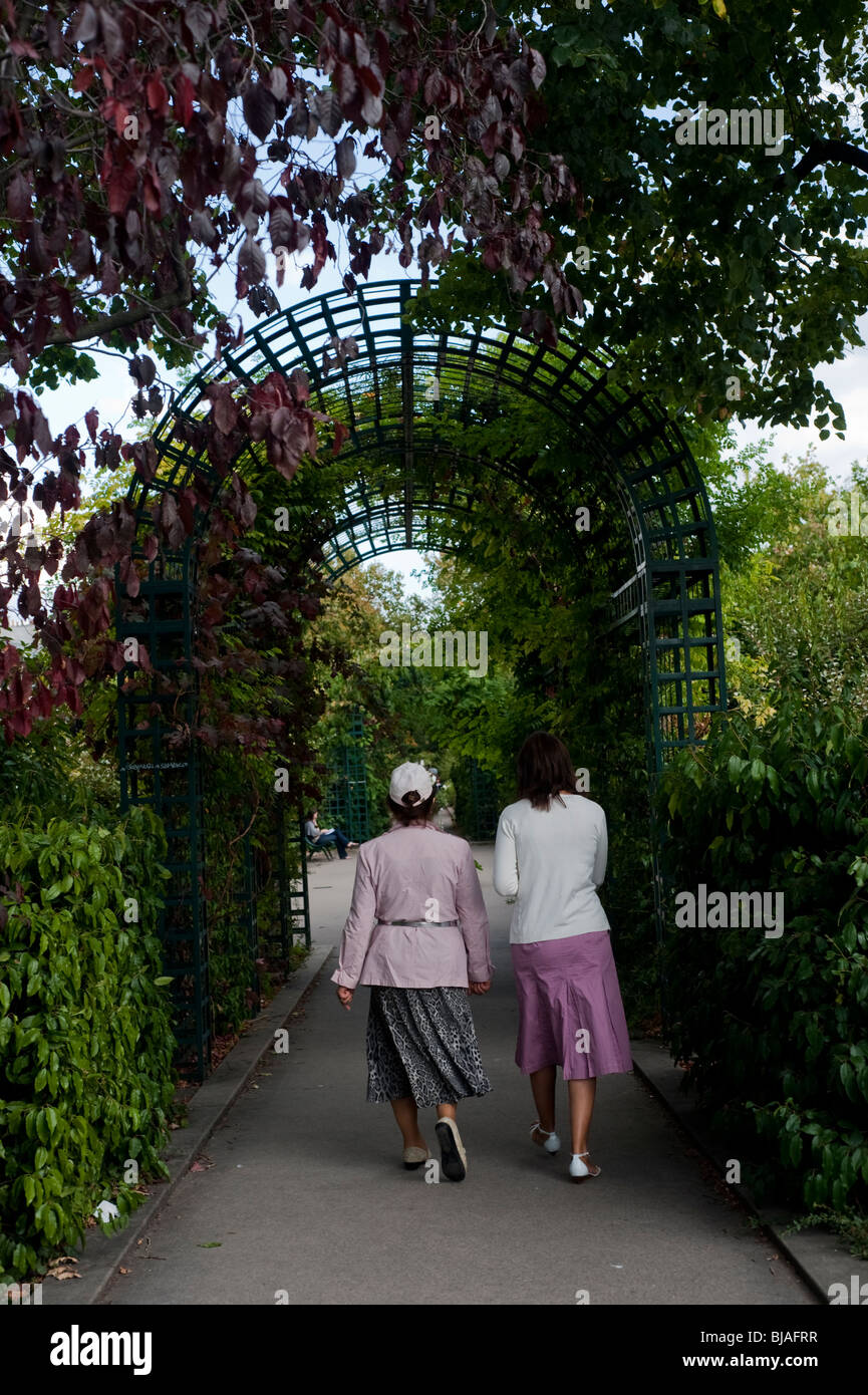 Paris, France - French Female Adults, Women Walking away, Rear ...