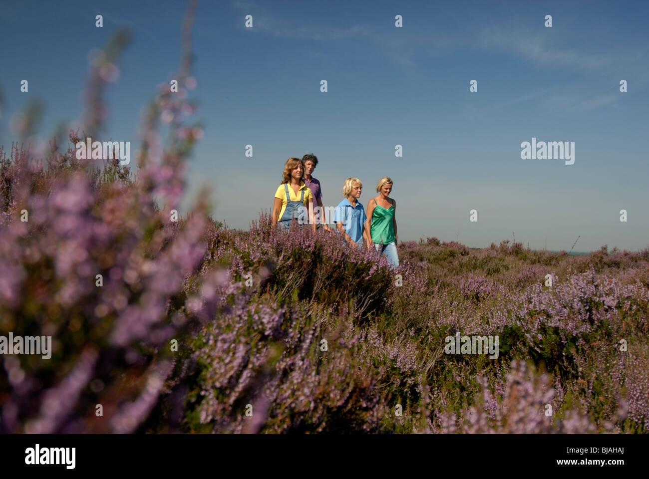 family 30 40 years boy 11 years girl 13 years moor Stock Photo - Alamy