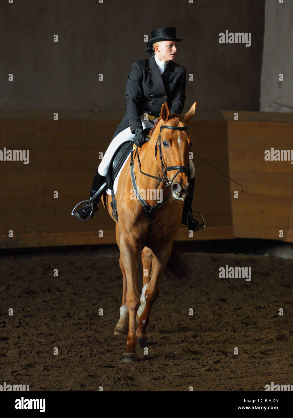 A equestrian rider in a dressage competition Stock Photo - Alamy