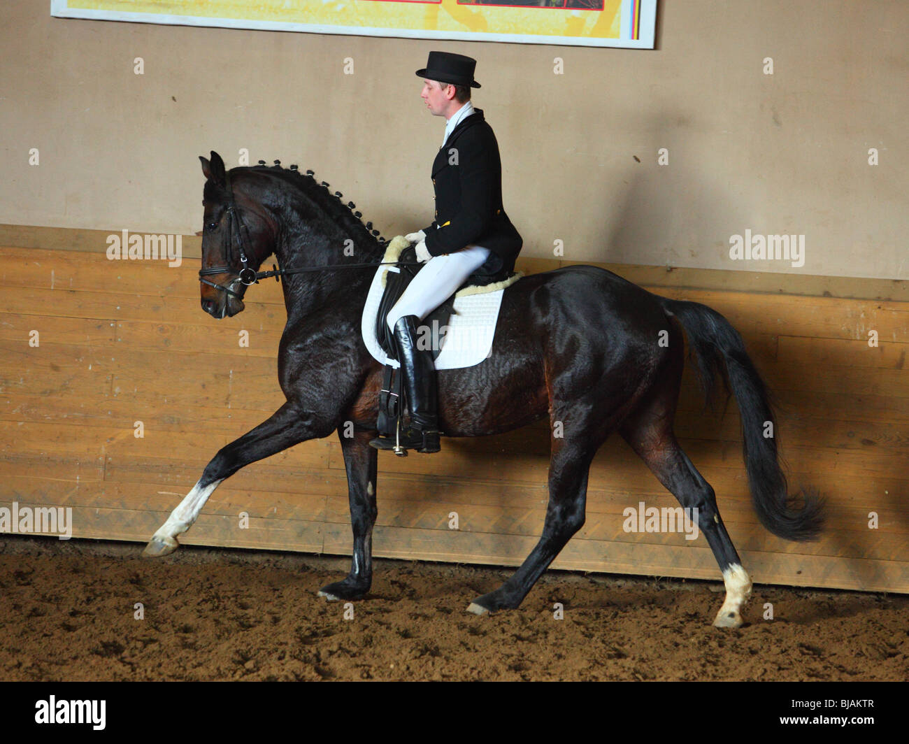 Beautiful horse and rider photography hi-res stock photography and ...