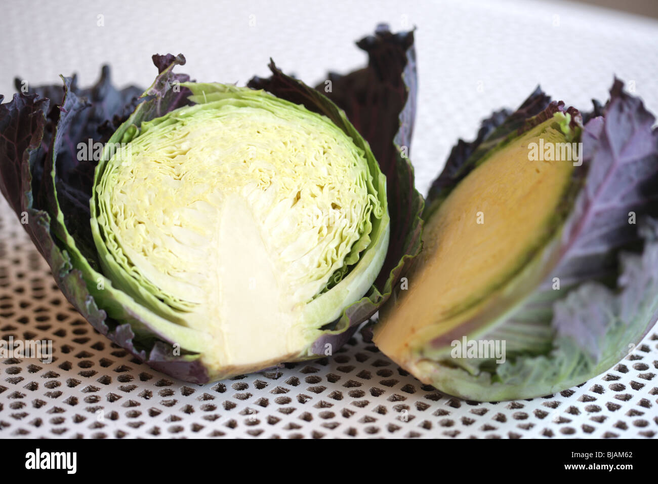 January King Cabbage Stock Photo - Alamy