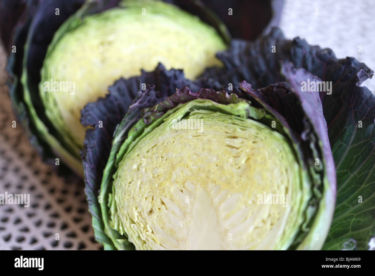 January King Cabbage Stock Photo - Alamy