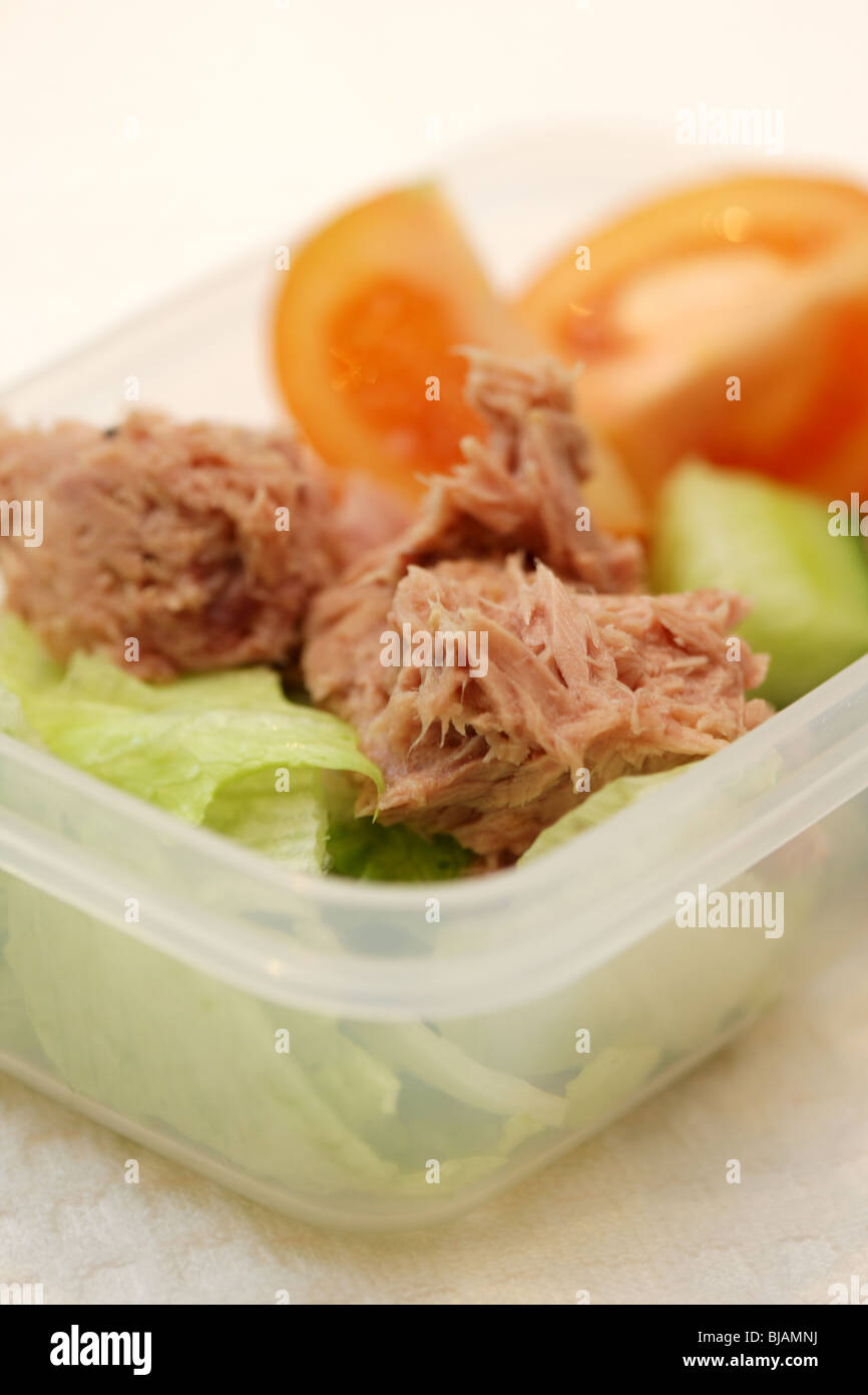 Tuna Salad Lunchbox Stock Photo - Alamy