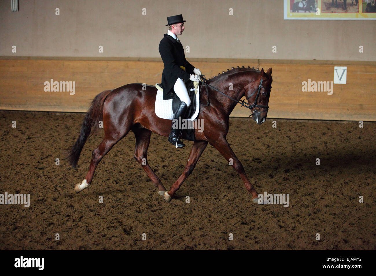 Professional equestrian athlete hi-res stock photography and images - Alamy