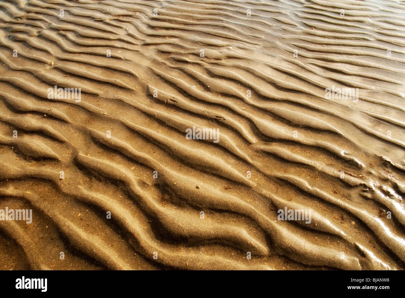 ripples in the sand Stock Photo - Alamy