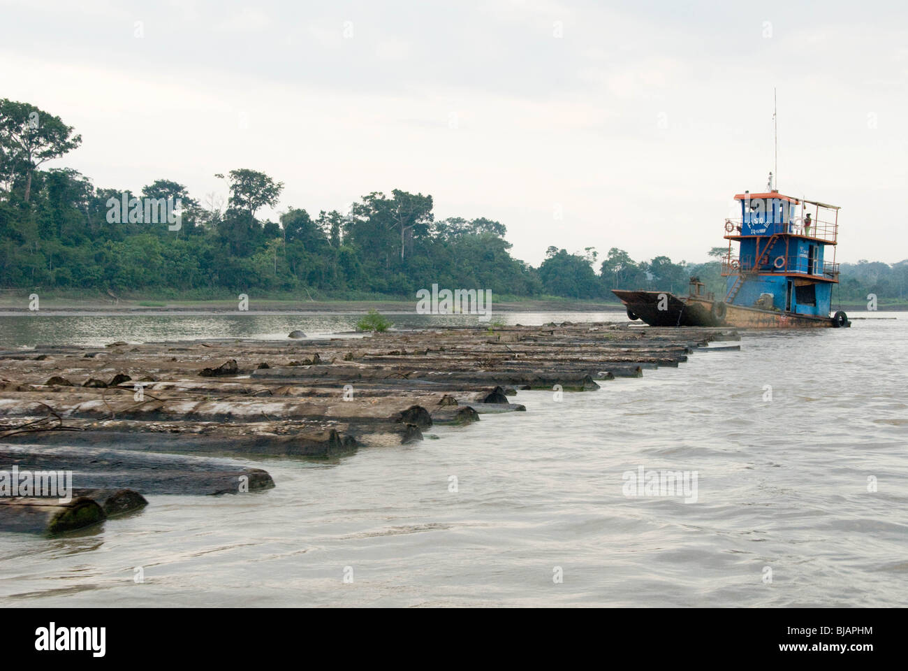 Logs being transported to a saw mill on the River Amazon near Tabatinga ...