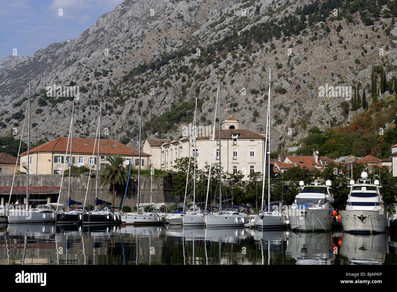 Kotor,old town,marina,harbour,Kotor Bay,Montenegro Stock Photo - Alamy