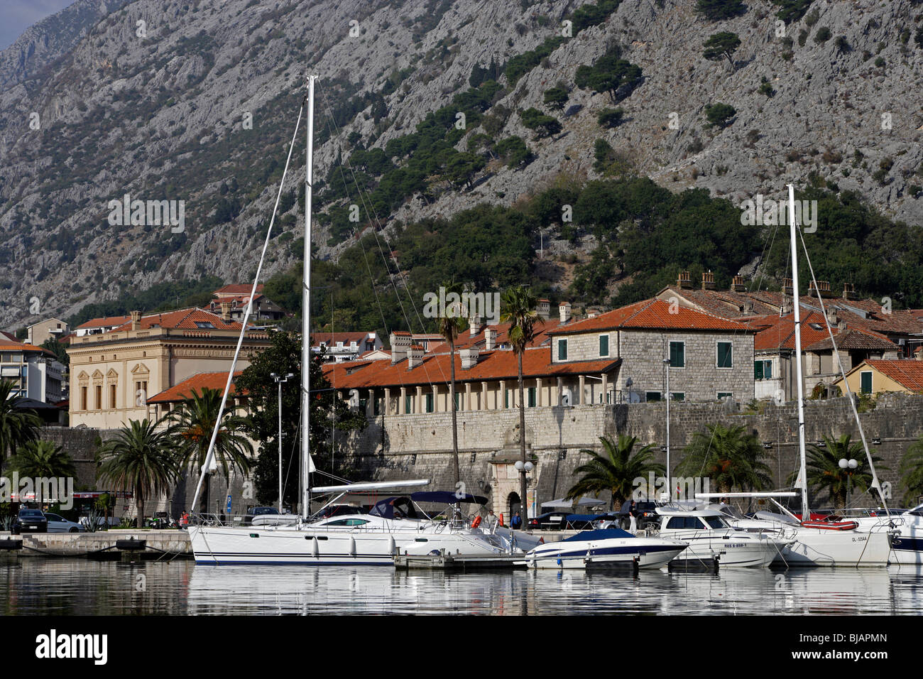 Kotor,old town,marina,harbour,Kotor Bay,Montenegro Stock Photo - Alamy