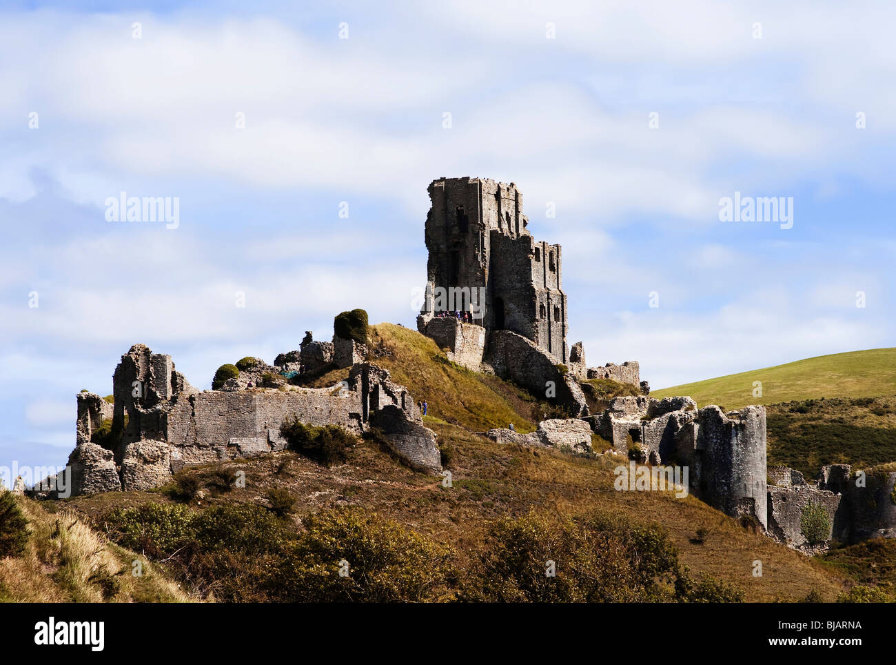 corfe castle in dorset Stock Photo - Alamy