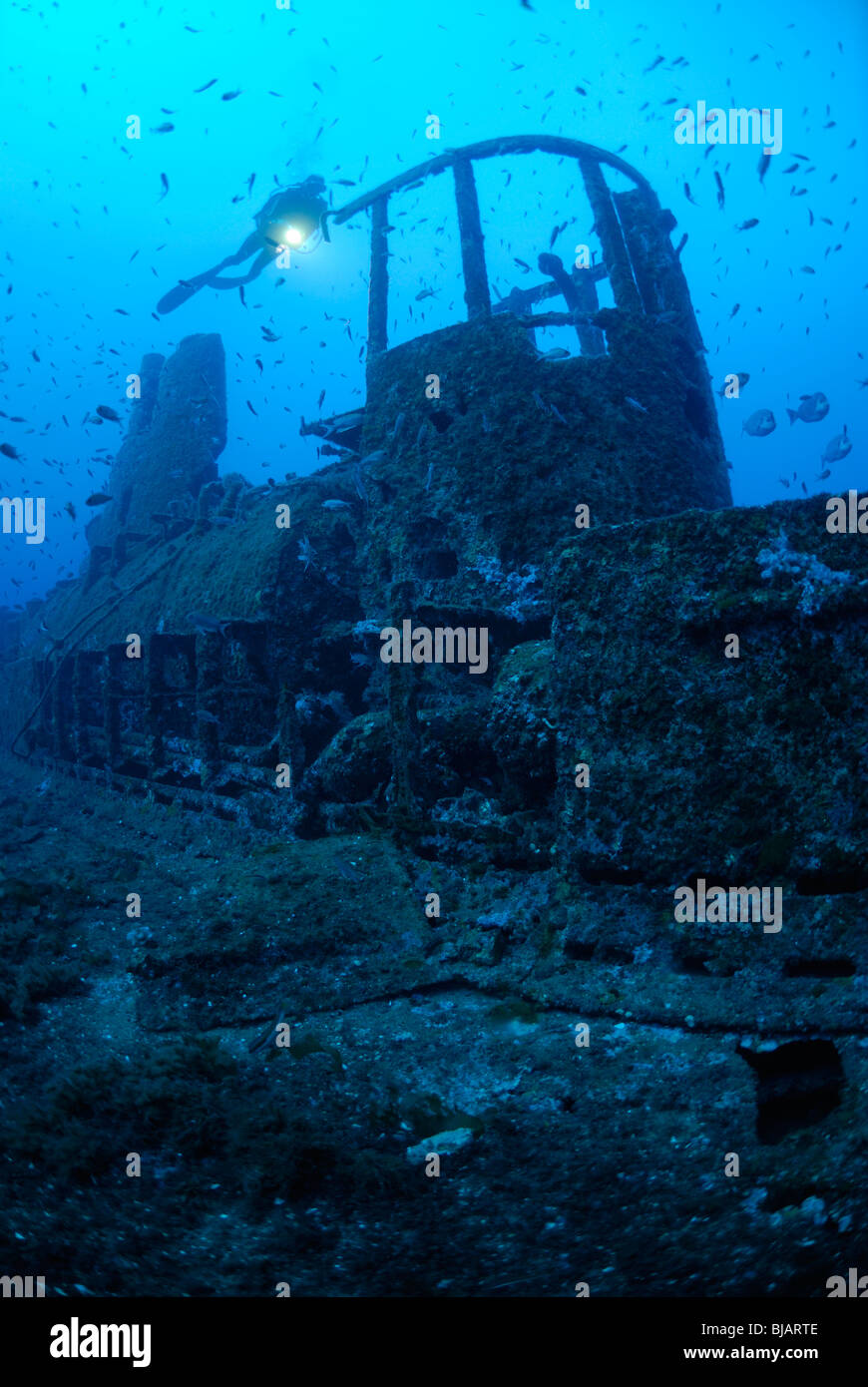 Diver exploring the Rubis wreck in the Mediterranean Sea Stock Photo ...