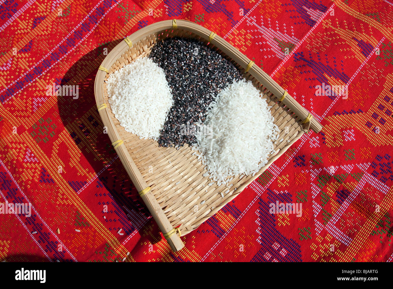 Three different sorts of rice grown in Northern Borneo white sticky ...