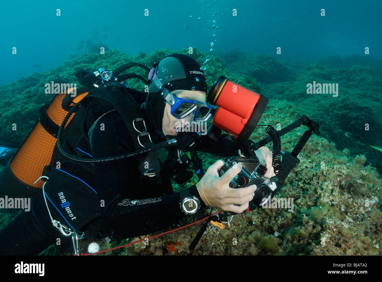 Diver underwater camera hi-res stock photography and images - Alamy