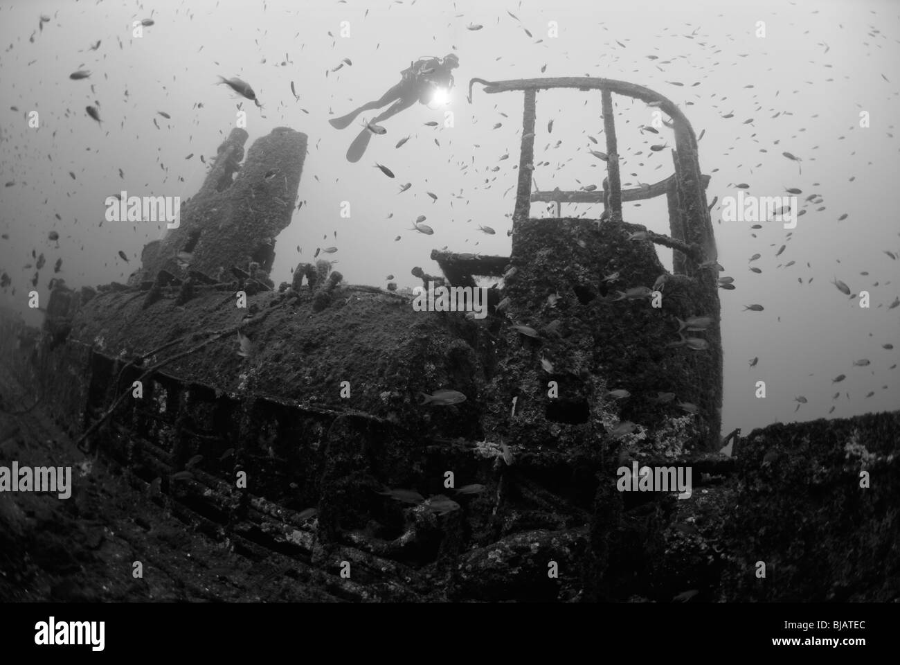 Scuba diver underwater on Black and White Stock Photos & Images - Alamy