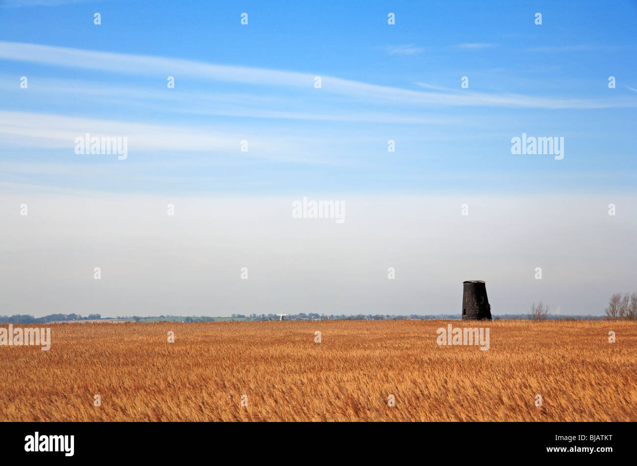 Six mile river walk hi-res stock photography and images - Alamy