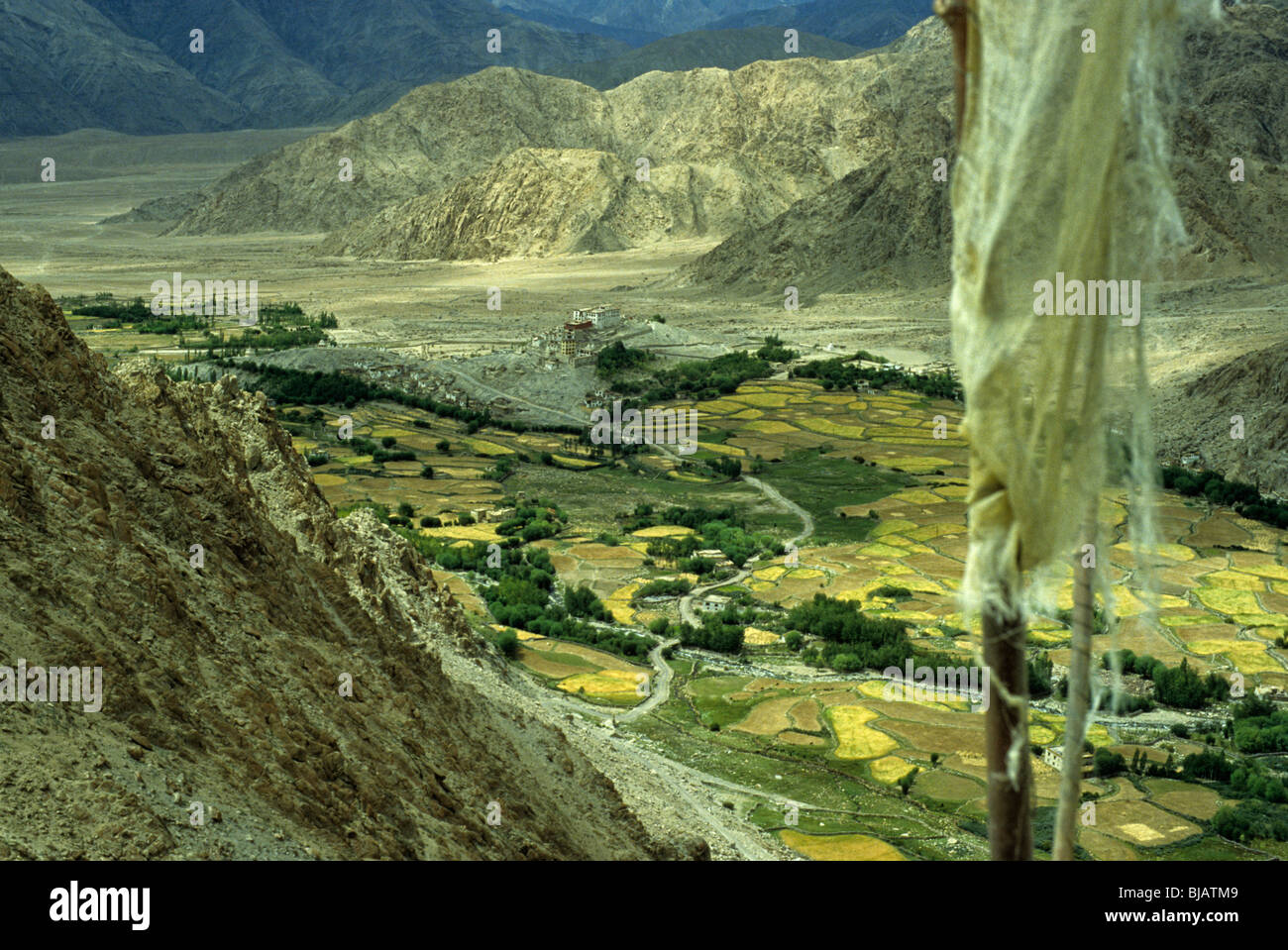 Northern India, Ladakh: The monastery of Phyang Stock Photo - Alamy