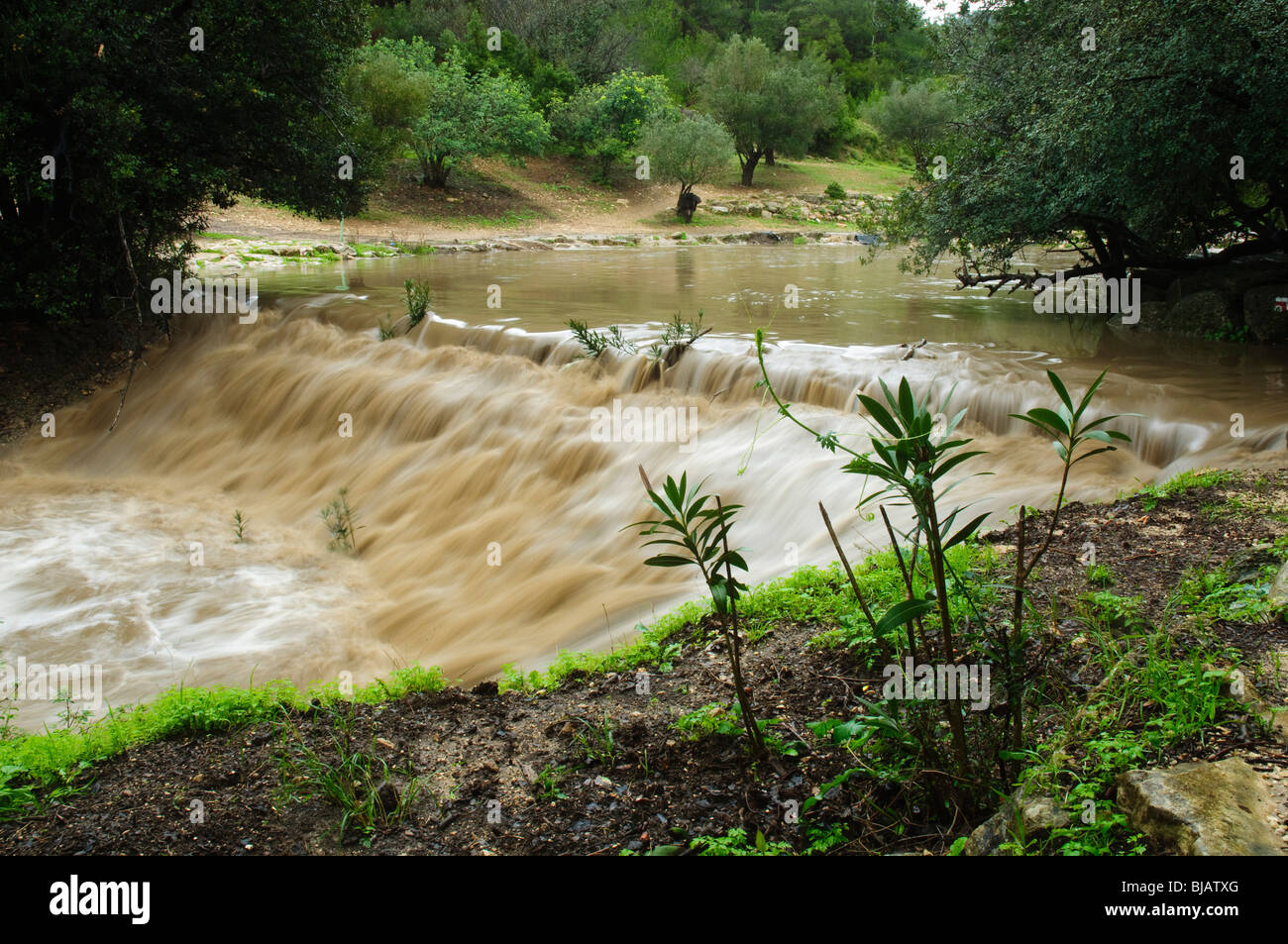 Israel, Carmel Mountain, Oren Stream Nature reserve. Winter 2010 Stock ...
