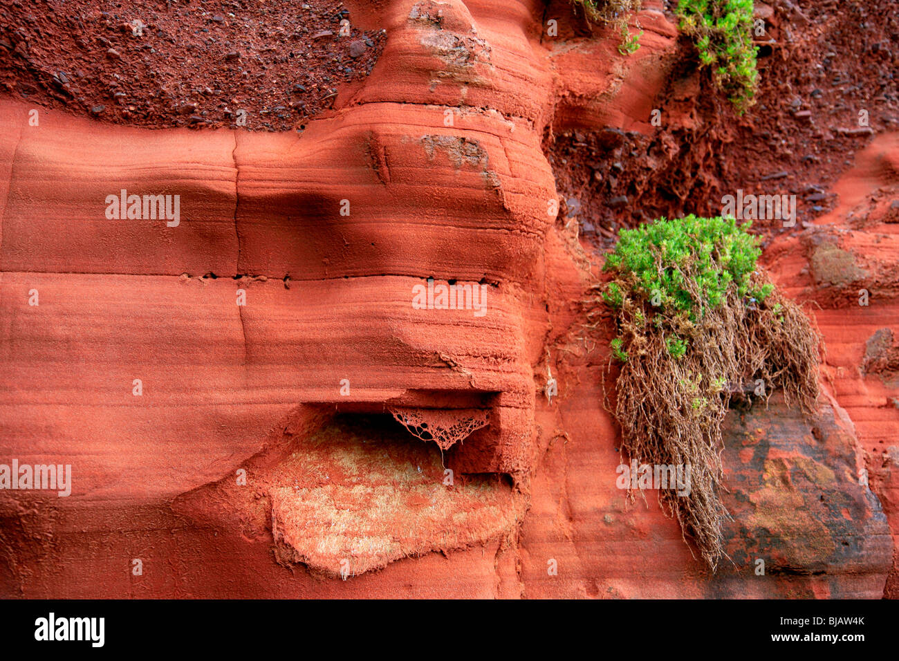 Redstone cliffs uk hi-res stock photography and images - Alamy