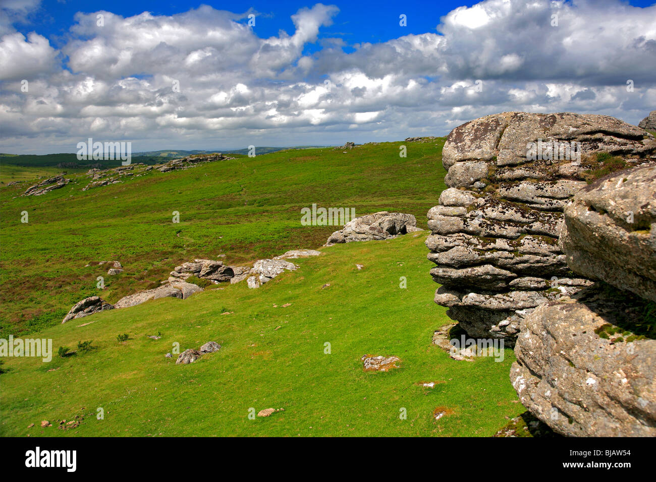 Summer Landscape view Haytor Down Rock Formation Dartmoor National Park ...