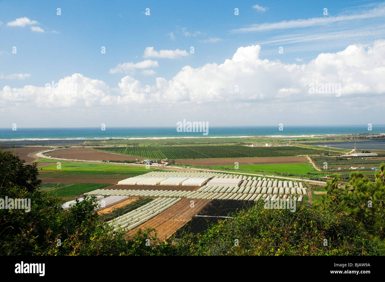 Israel, Coastal plains as seen from the Carmel mountain Mediterranean ...