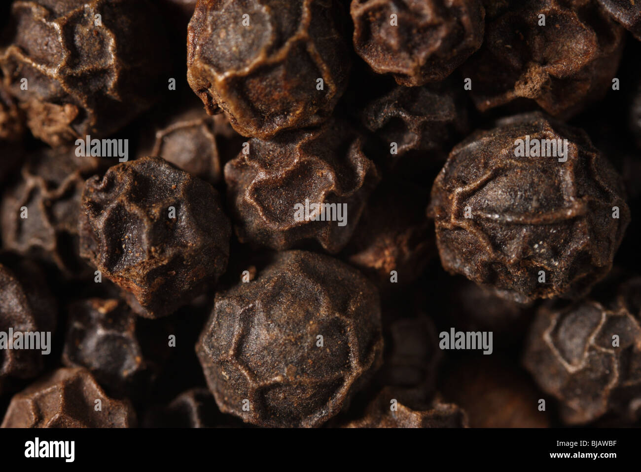 Tellicherry hi-res stock photography and images - Alamy