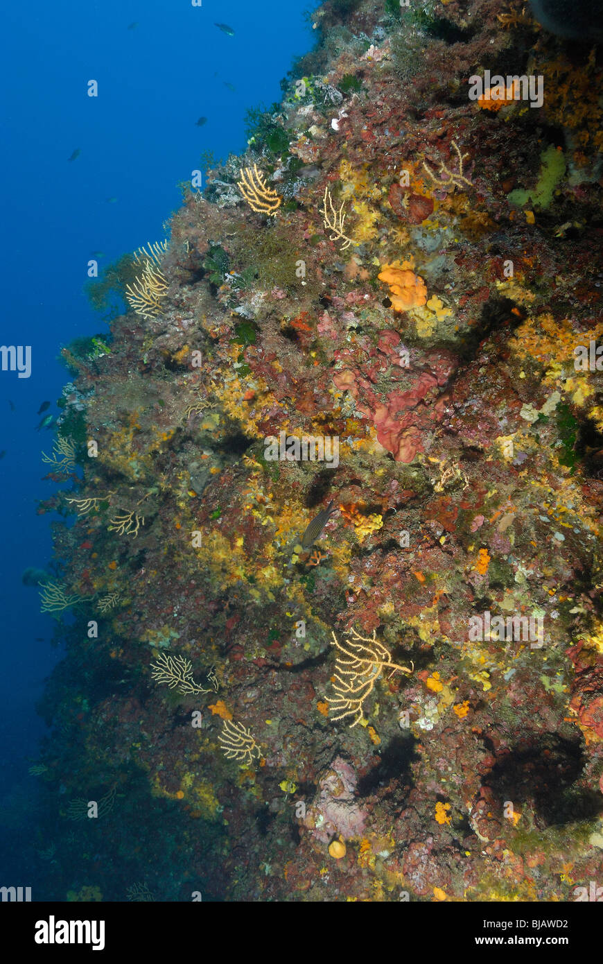 Typical drop off in the Mediterranean Sea, off Saint Tropez Stock Photo ...