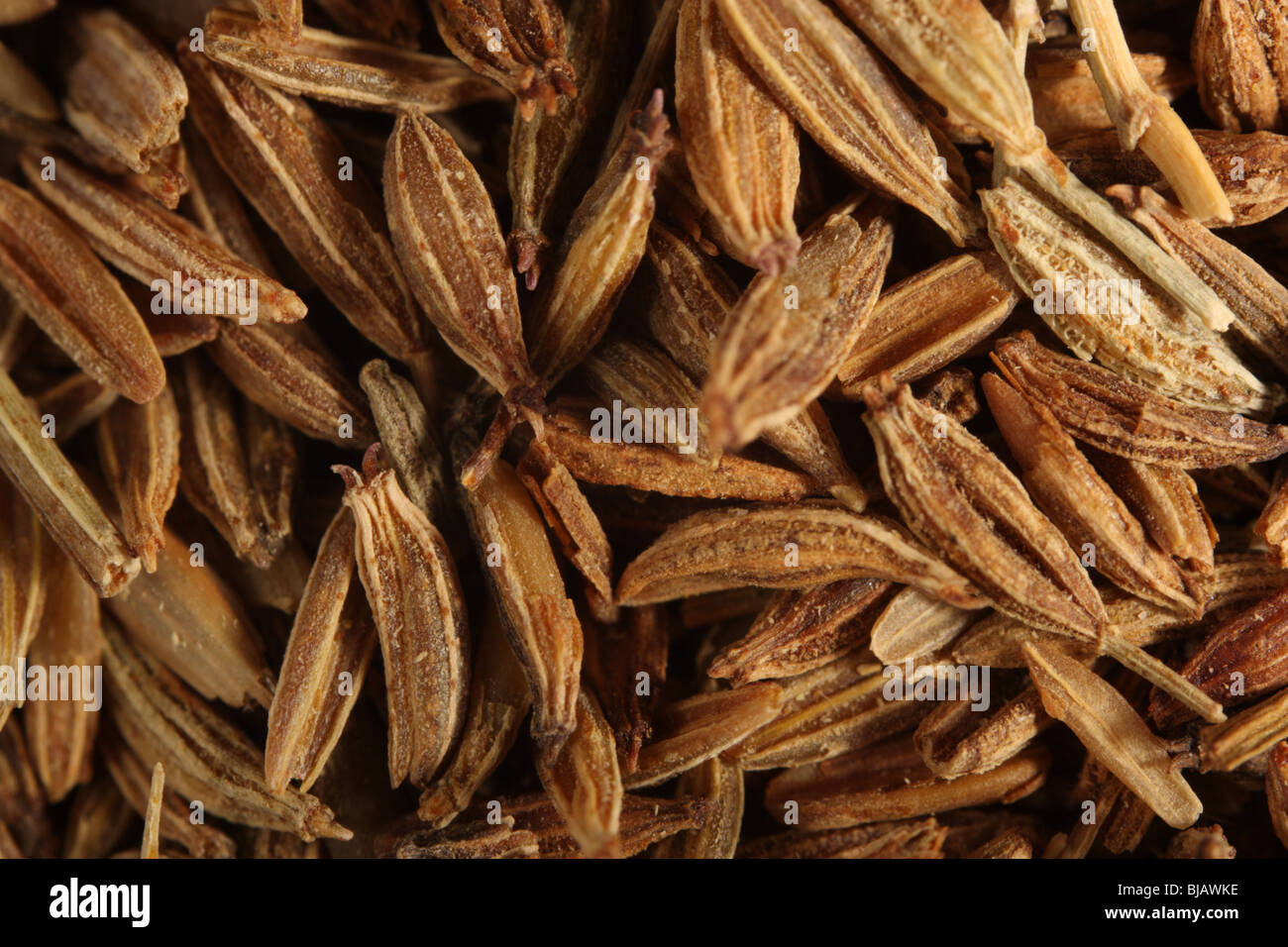 Whole cumin seed hi-res stock photography and images - Alamy