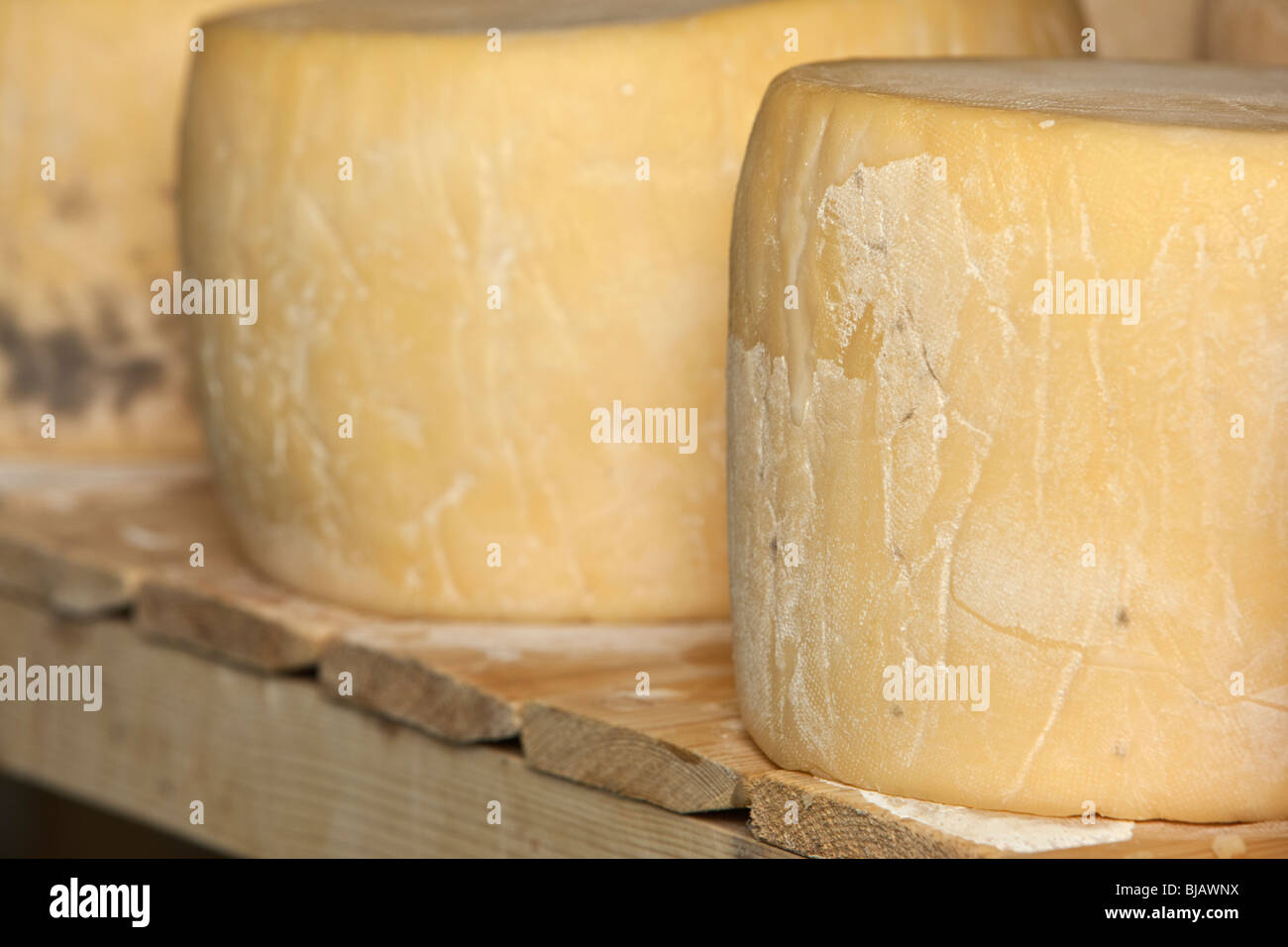 Mature cheeses hi-res stock photography and images - Alamy