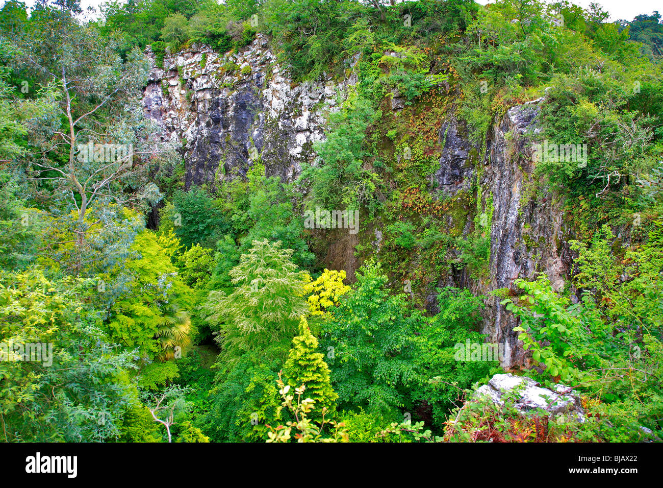 Chudleigh Rocks visitor attraction centre Chudleigh village Devon ...