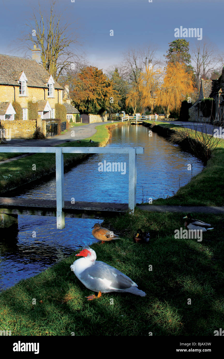 lower slaughter village the cotswolds gloucestershire the midlands ...