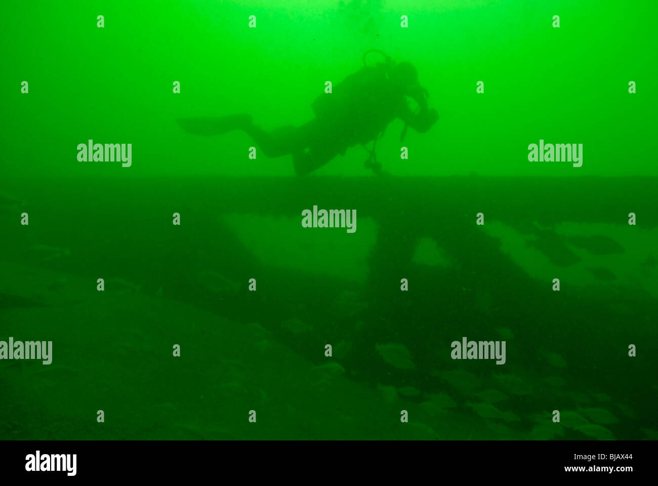 Scuba diver equipment hi-res stock photography and images - Alamy