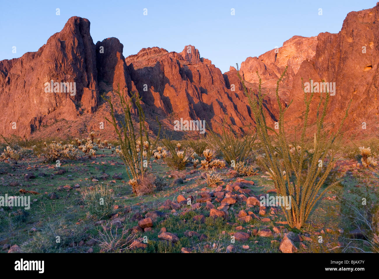 Kofa hi-res stock photography and images - Alamy