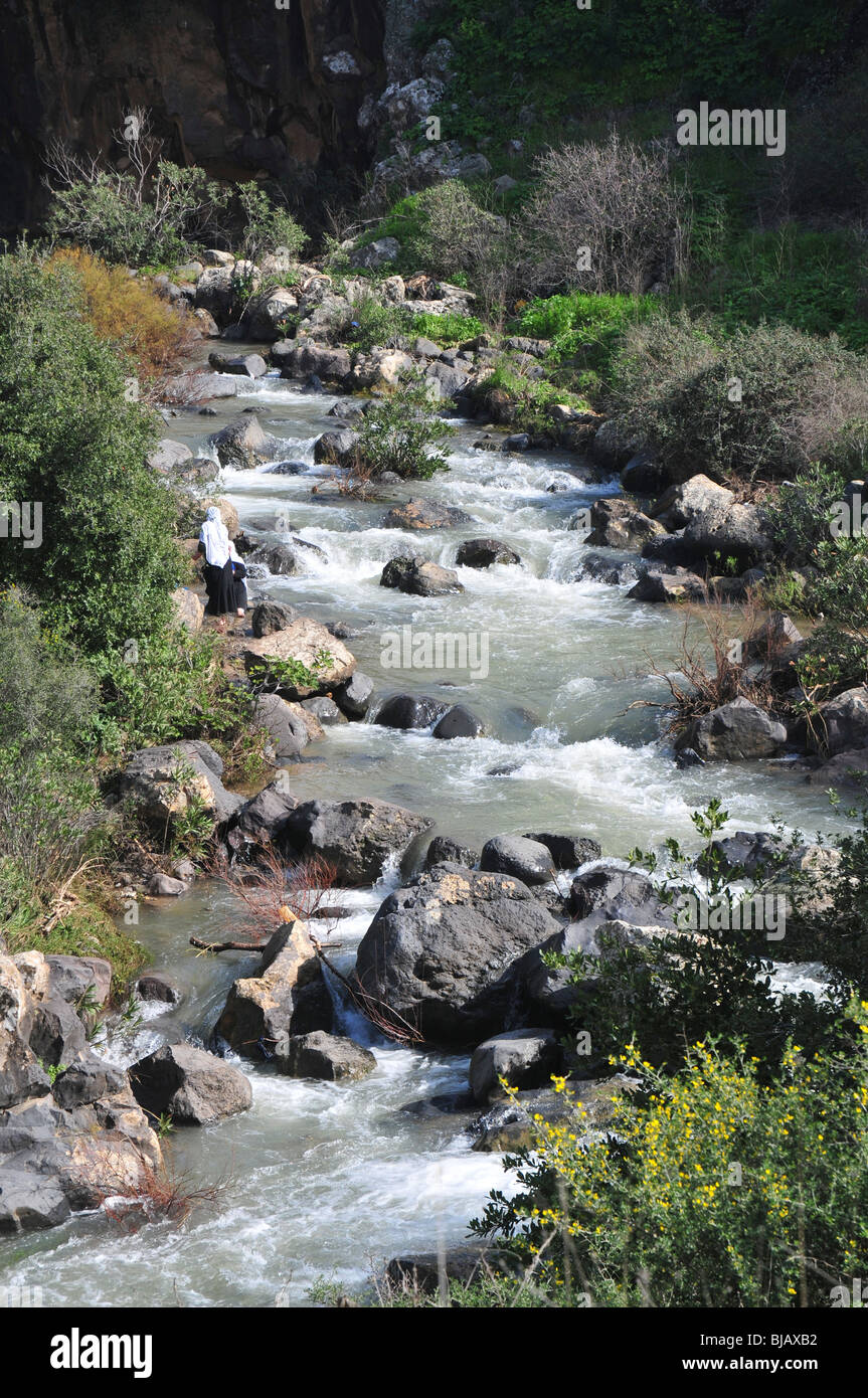 Israel, Golan Heights, Saar stream and waterfall nature reserve Stock ...