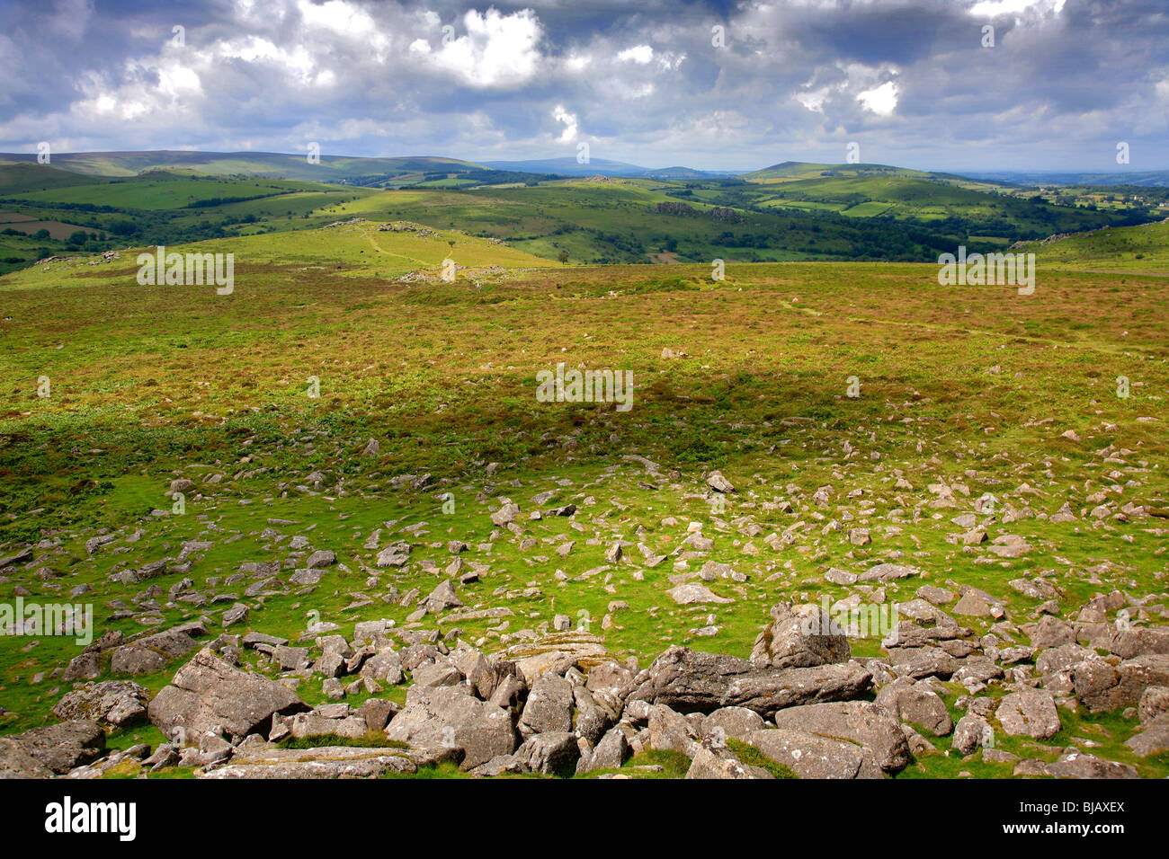 Summer Landscape view Haytor Down Rock Formation Dartmoor National Park ...