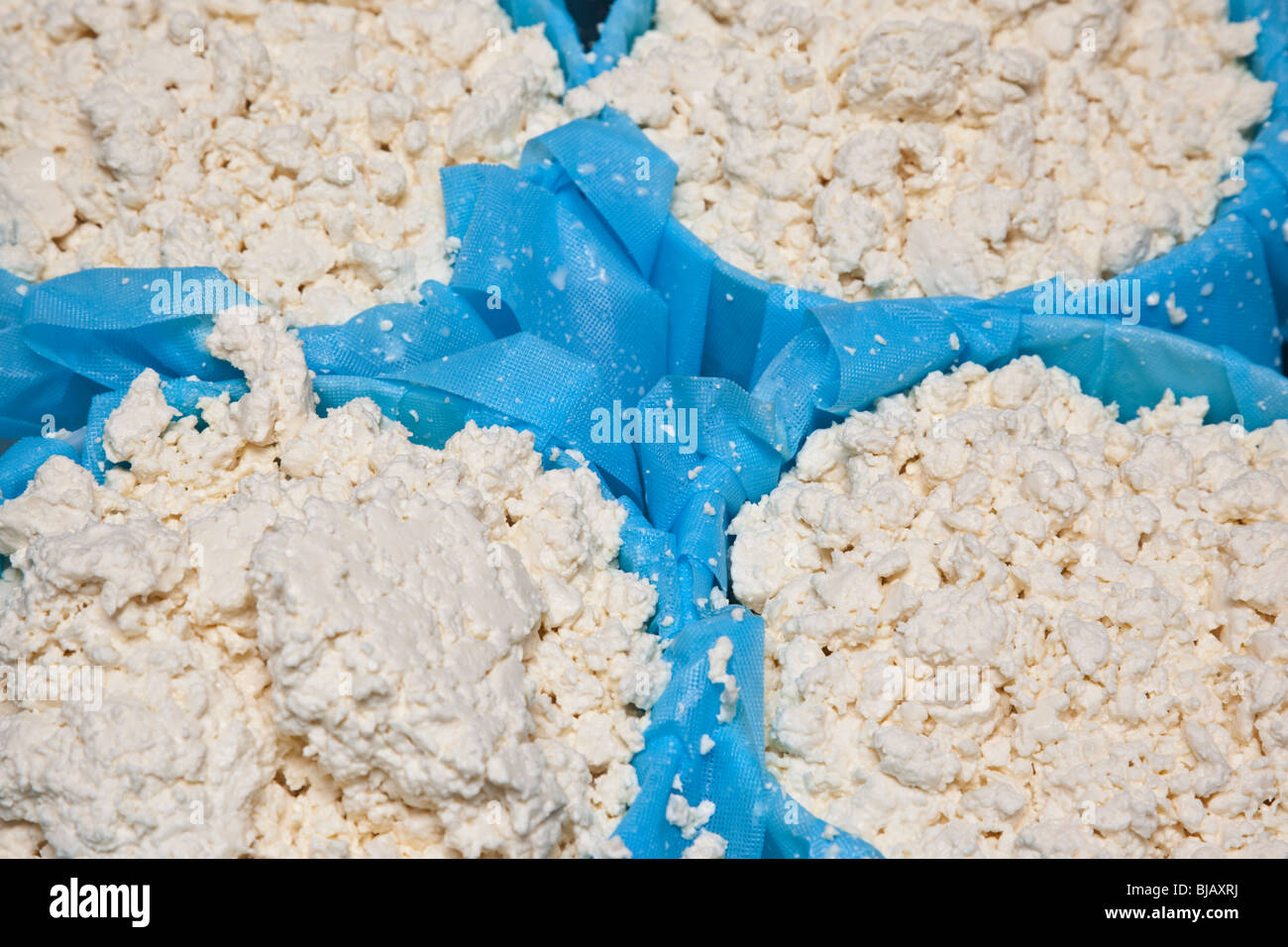Dairy production hi-res stock photography and images - Alamy