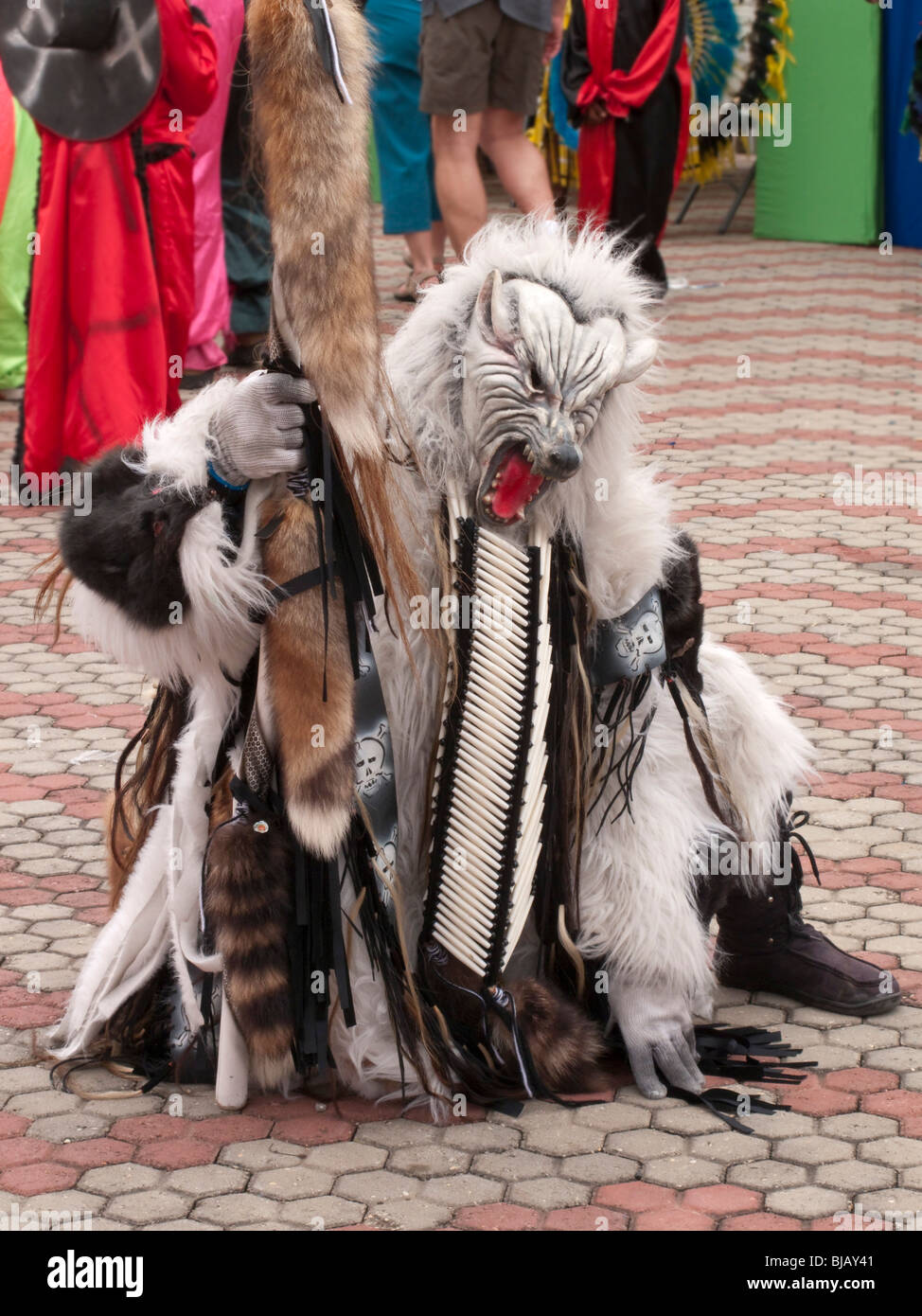 A carnival character based on the Fancy Indian or Indian mas Stock ...